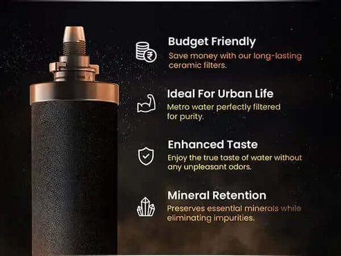 Carbon Candle Water Filter for Home | Rama Gravity Purifier – Rama ...